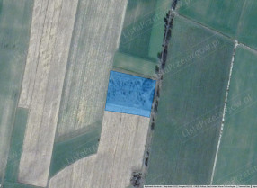 Przetargi, Działki, Lubanice, Lubuskie